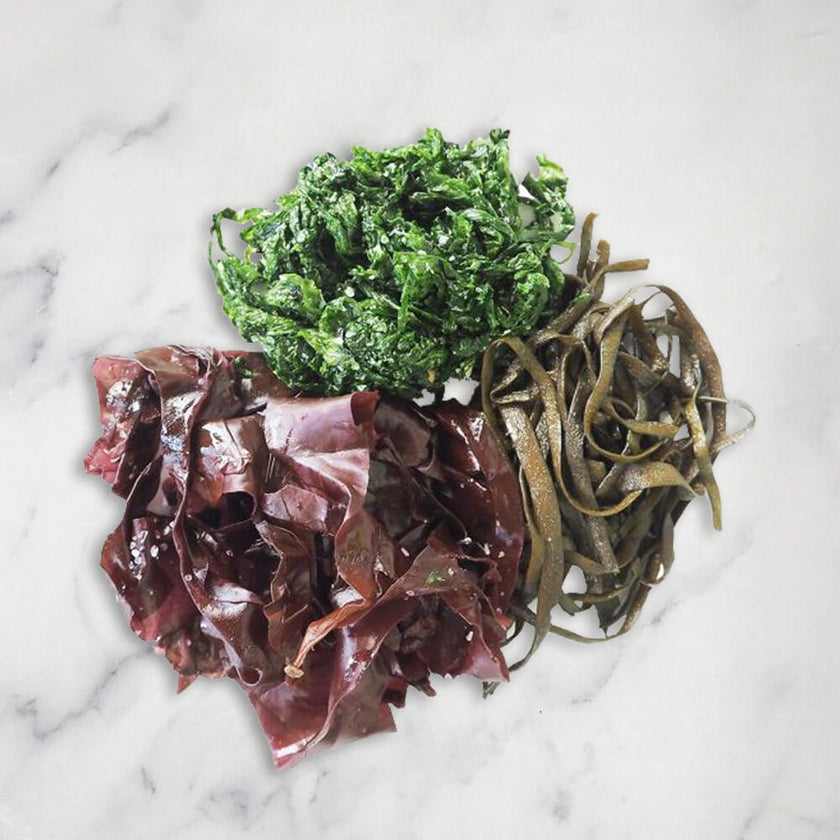 Buy Ocean Mix Seaweed Online UK | Fine Food Specialist