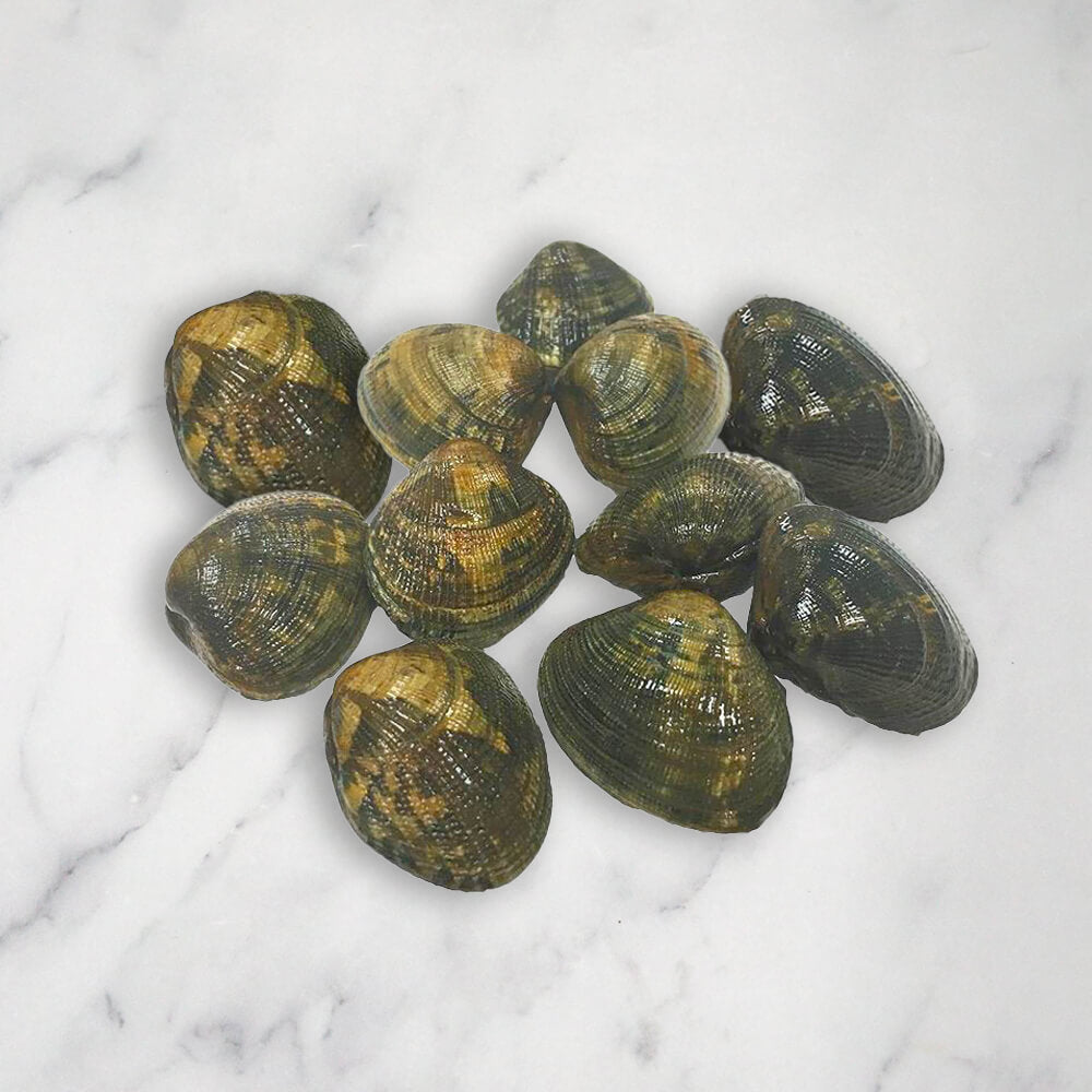 Buy Parlourde Clams Online U.K. – Fine Food Specialist