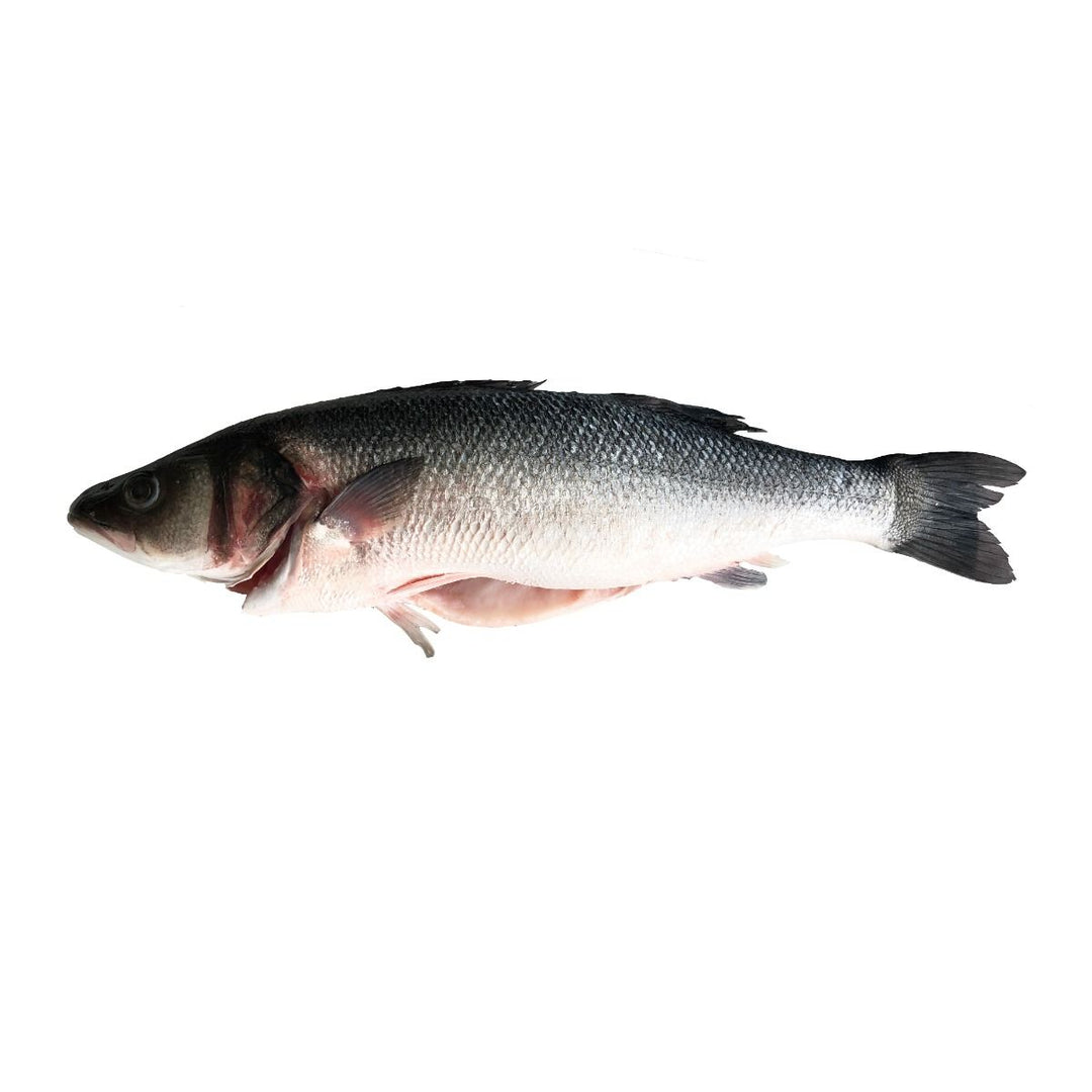 Buy Farmed Sea Bass Online UK and London – Fine Food Specialist